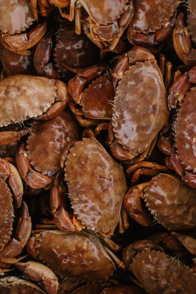 Santa Monica's Crudo e Nudo: Inside Chef Brian Bornemann's Dry-Aged ...